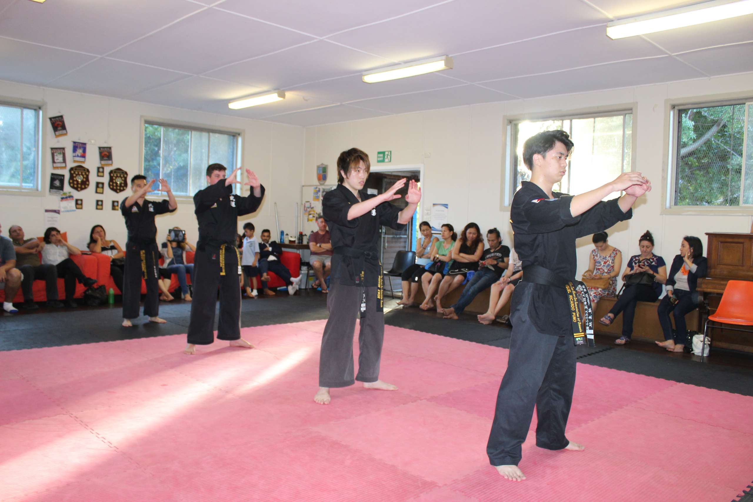 Pyongwon Poomsae Guide – Pro Tae Kwon Do